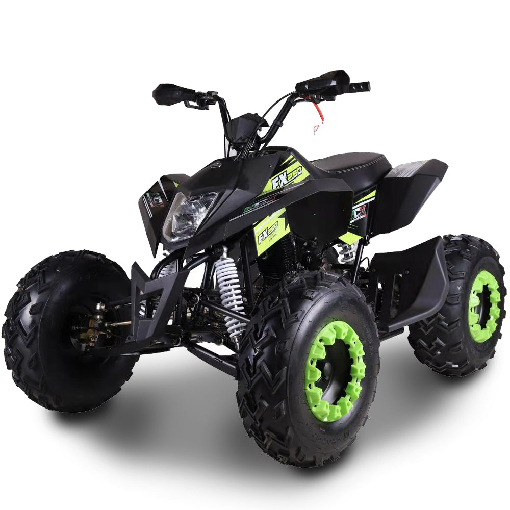 Mega Quad FX 250cc Ruota 10 Maxi – Pgprojectmotors